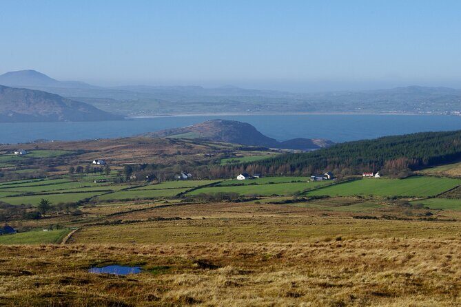 Bog Safari Hike - What Makes This Tour Special?