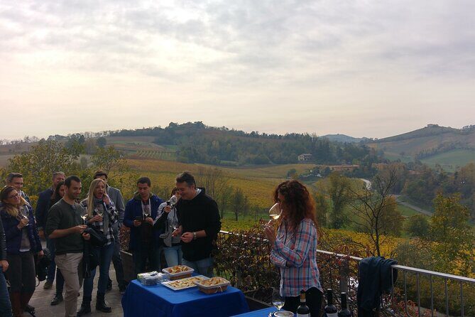 Bologna Wine Tasting & Winery Tour in the Colli Bolognesi - How the Experience Plays Out Step-by-Step