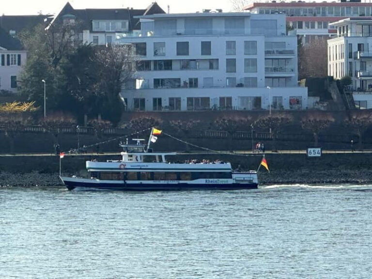 Bonn: Winter tour by boat with mulled wine - The Verdict: Is It Worth It?