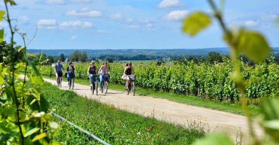 Bordeaux Backcountry E-Bike Tour with Lunch & Wine Tasting - What You Can Expect Practicalities-wise