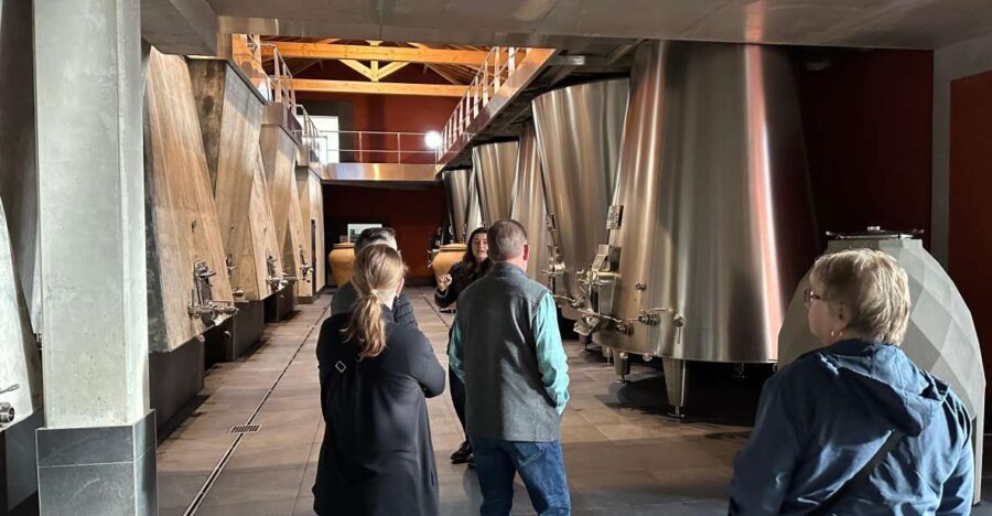 Bordeaux: Medoc tour in a small group (Luxury Mercedes EQV) - Why Choose This Tour?