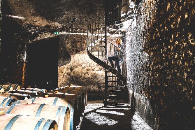 Bordeaux: Wine Tour and Tasting - What Could Be Improved?