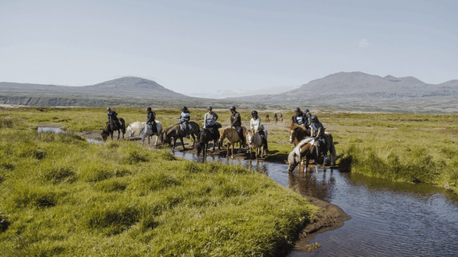 Borgarnes: Horseback Riding Tour with Prep Lesson - What Sets This Tour Apart?