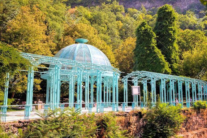 Borjomi National Park Full Day Private Tour From Tbilisi - Who This Tour Is Best For