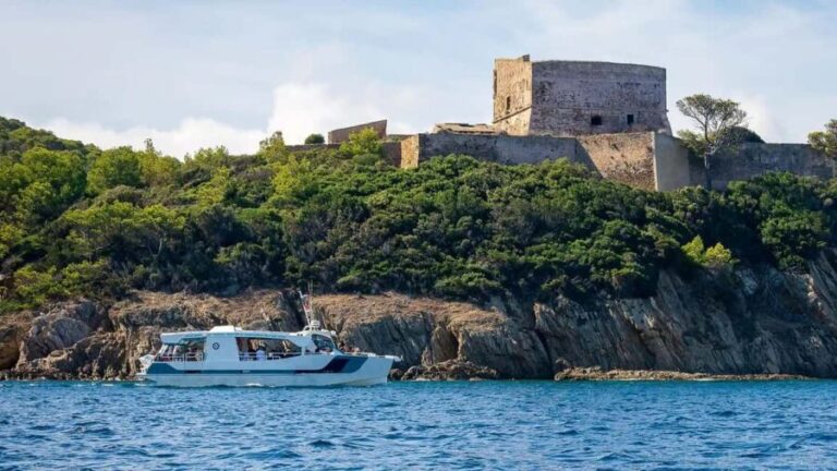 Bormes-les-Mimosas: Hybrid boat trip to Porquerolles Island - The Experience: What to Expect on the Hybrid Boat Trip