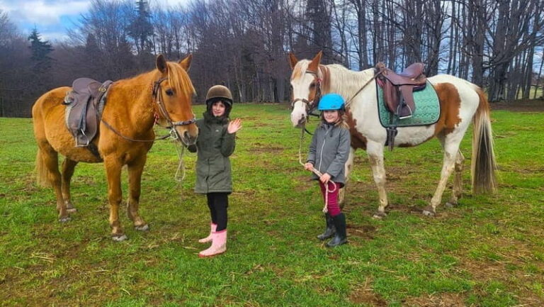 Borovets: Horse Riding Experience - Why This Horse Riding Tour Is Worth Considering