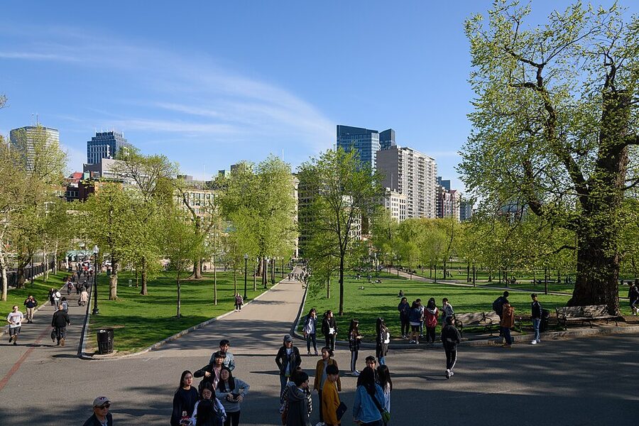 Boston Common public park with trees and walkways in spring