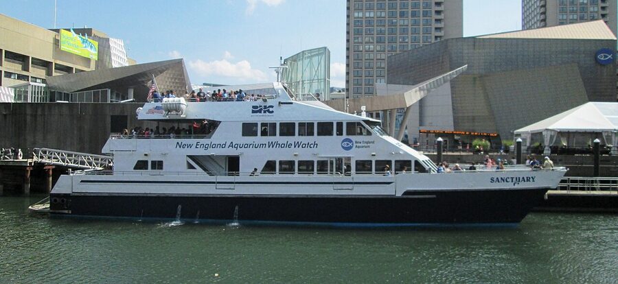 New England Aquarium Whale Watch catamaran at Central Wharf Boston