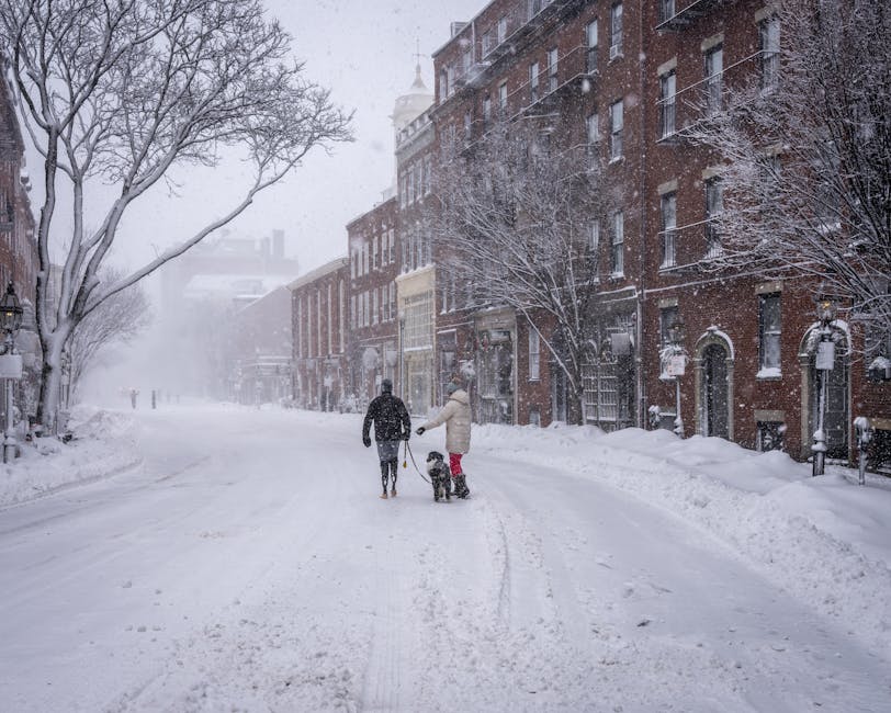 Snow-covered street in Boston during a winter storm