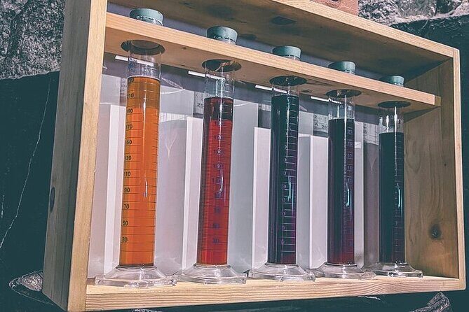 Boutique Port Wine Tour in Gaia with Rooftop Views - What Travelers Say: Authentic Insights