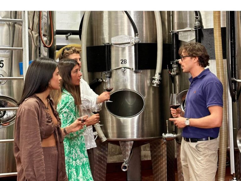 Boutique Winery Tour with Wine Tasting & Food in Bologna - What Sets This Tour Apart