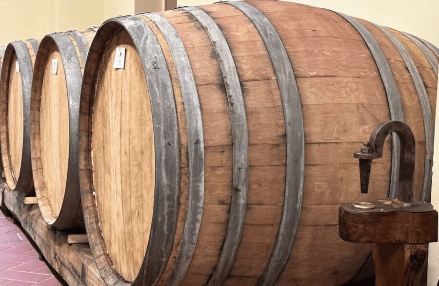 Boutique Winery Visit & Wine Tasting near Arezzo - A Closer Look at the Experience