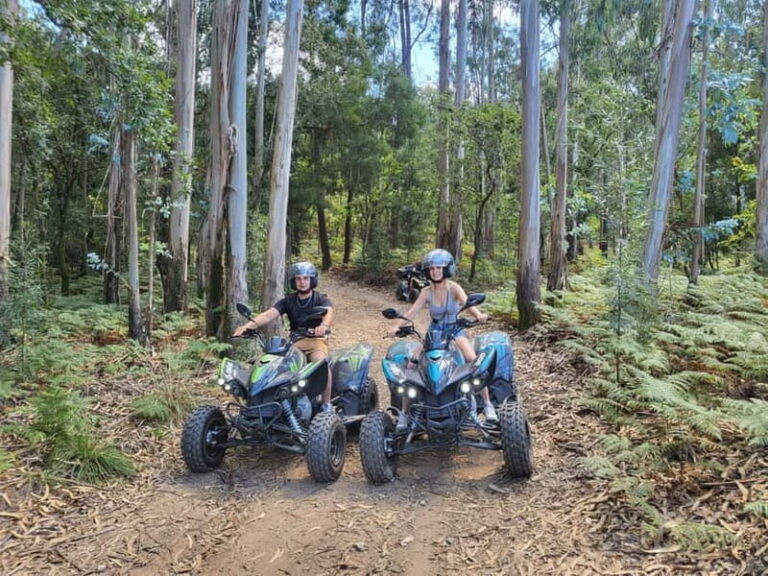 Braga: Quad bike ride, experience the adventure in Braga with Quad Paradise! - The Experience: What You Can Expect