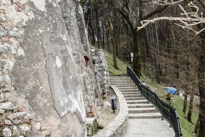 Bran Castle, Bear Sanctuary, and Rasnov Fortress Half Day Tour - Authenticity & Value