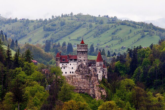 Bran Castle Entry Tickets - Who Should Consider This Experience?