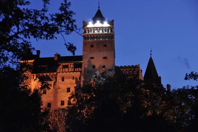 Brasov: Bear Sanctuary, Bran Castle & Rasnov Fortress GUIDED Tour - The Value of This Tour