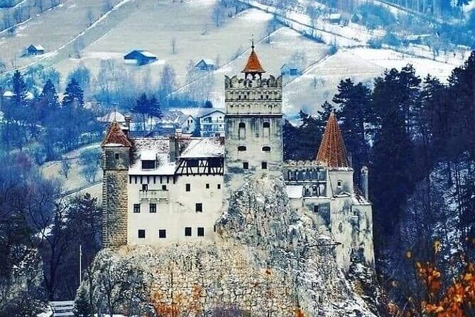 Brasov: Bears Sanctuary, Rasnov Fortress, Bran Castle GUIDED Tour - Authentic Experiences and Insights from Reviewers