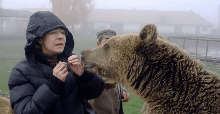 Brasov: Libearty Bear Sanctuary - Who Should Consider This Tour?