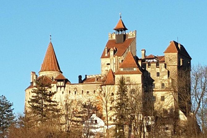 Brasov: Peles Castle, Bran Castles and Rasnov Fortress Day Tour - Transportation and Practicalities
