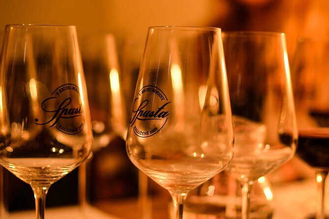 Bratislava Wine Tasting in City Center - The Reviews: What Travelers Say