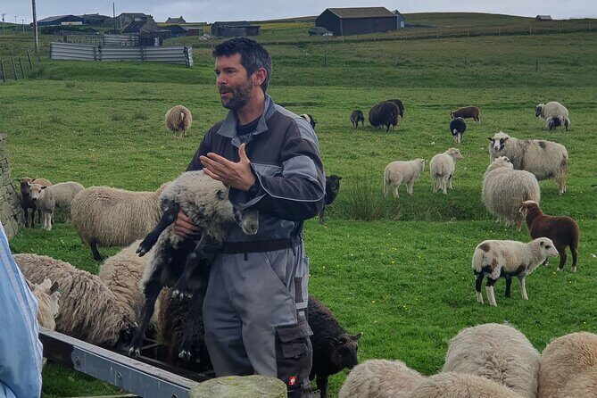Bressay Explorer Crofting and Island Life Tour - Who Would Love This Tour?