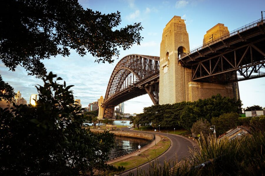 Sydney Harbour Bridge at sunrise framed by trees in soft morning light