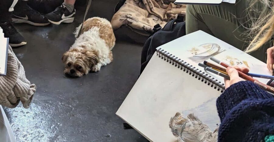 Bristol: Dog Life Drawing led by local Artist Cai Burton - The Experience Itself – What to Expect