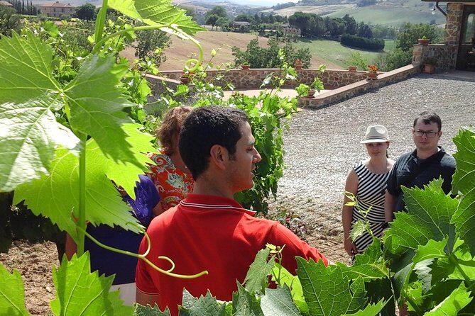 Brunello Vineyards Bus Tour - FAQ About the Brunello Vineyards Bus Tour