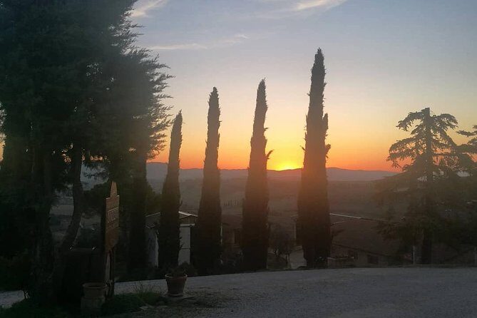 Brunello Wine Tour and Val D'Orcia Landscape - The Experience Overview