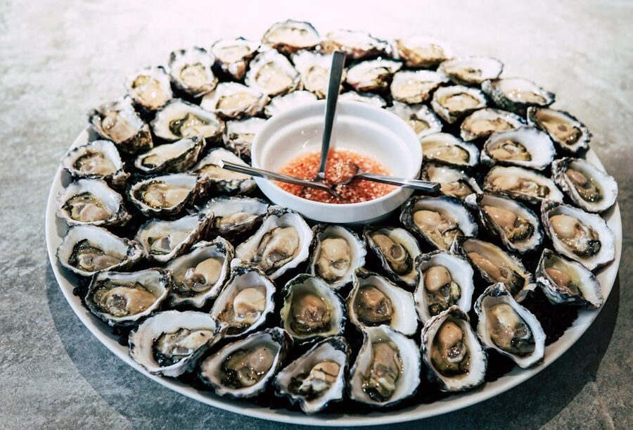 Fresh raw oysters on a plate representing Bruny Island Get Shucked oysters