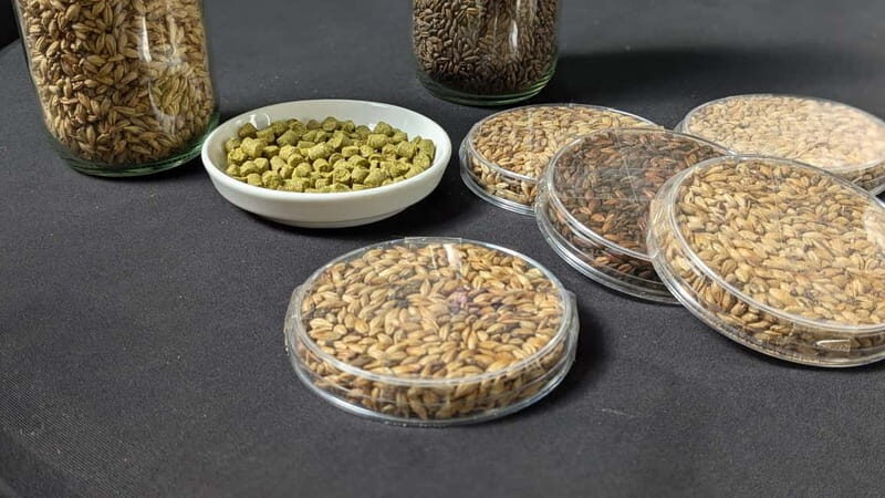 Brussels: micro brewery & distillery tour + beer tasting - The Sum Up