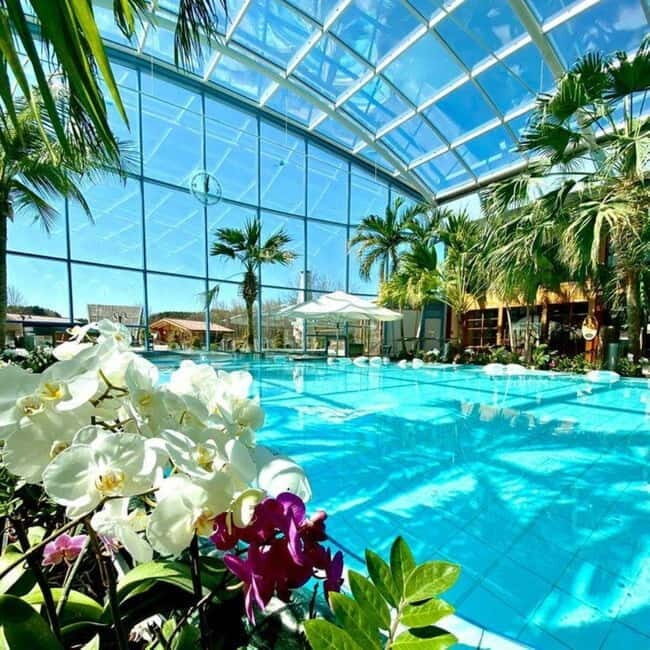 Bucharest: All Day Therme with Elysium Experience - The Itinerary in Detail