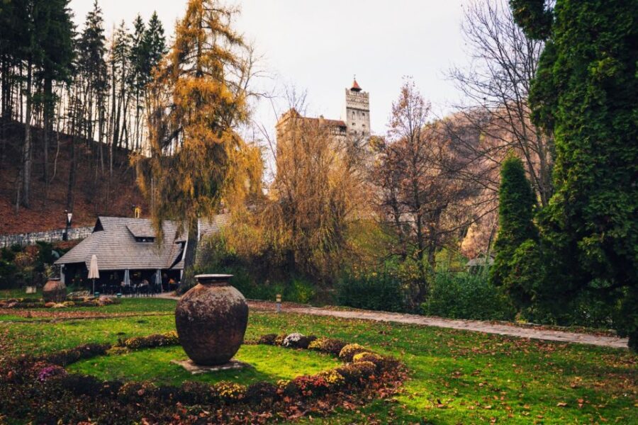 Bucharest: Bran Castle and Bear Sanctuary Small-Group Tour - Why This Tour Offers Real Value