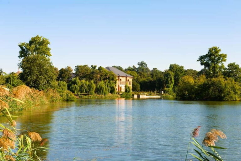 Bucharest: Mogosoaia Palace Official Entry Ticket - An In-Depth Look at Mogosoaia Palace and Its Surroundings