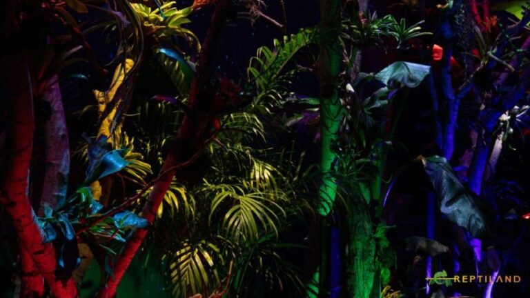 Bucharest: Reptiland Bucharest Entry Ticket - Why Reptiland Bucharest Offers Great Value