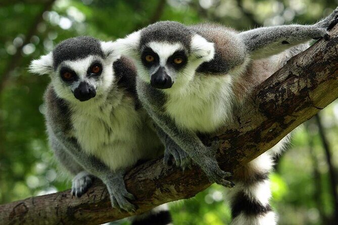 Budapest BeerBus Tour 60 Minutes Private Experience - Who Is This Tour Best For?