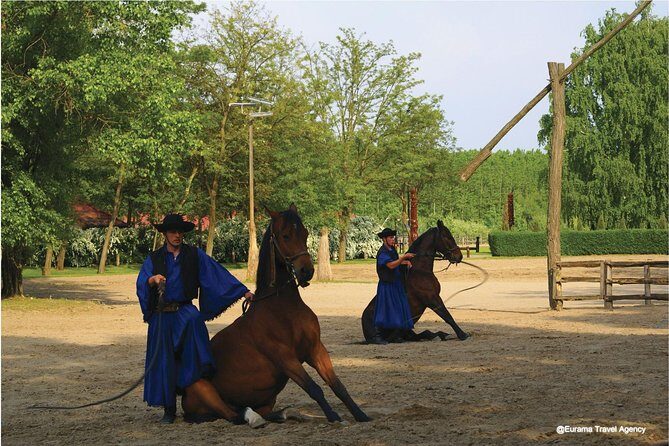 Budapest Puszta Day Trip to Kecskemet with Horse Show & Lunch - What to Expect on the Tour
