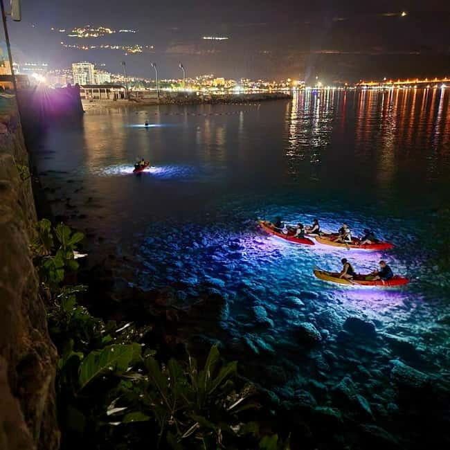 Budva: Night Lights Kayaking Tour - Is It Worth the Cost?