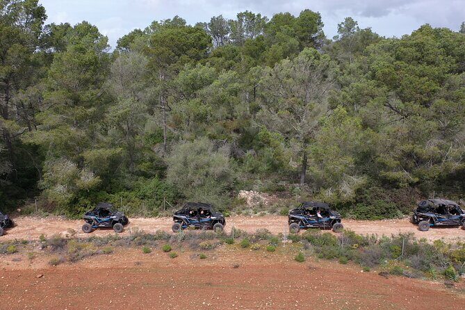 Buggy 2-seater and 4-seater Off-On Road Tour in Mallorca - FAQs