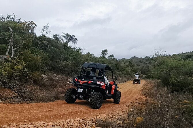 Buggy Adventure - 1.5 Hours Off-Road Guided Tour from Albufeira - Authentic Experiences Highlighted by Guests