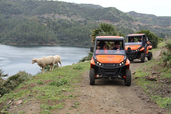 Buggy Adventure with Incredible Views of the Sea and the Reservoir - Who Is This Tour Perfect For?