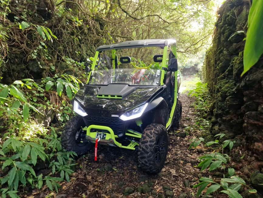 Buggy tour through the vineyards of Pico Island - Final Thoughts: Is the Pico Island Buggy Tour Worth It?