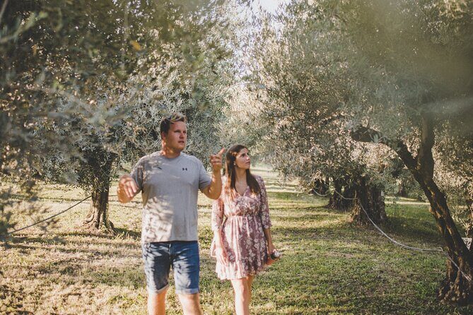 Buje: Authentic Istrian family farm, guided walk, foods & wine - The Experience’s Value: Is It Worth It?