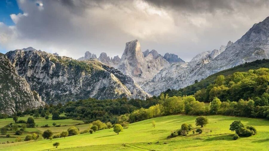 Bulnes: Excursion with funicular and Cabrales cheese cave in the Picos de Europa - What Makes This Tour Special?
