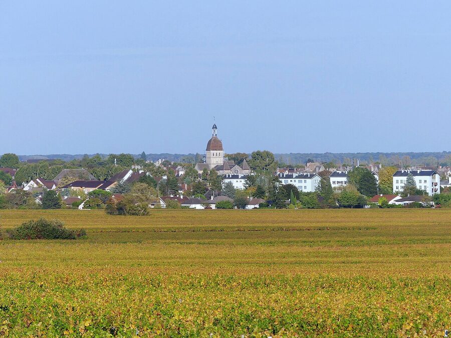 Beaune town surrounded by vineyards in autumn aerial view