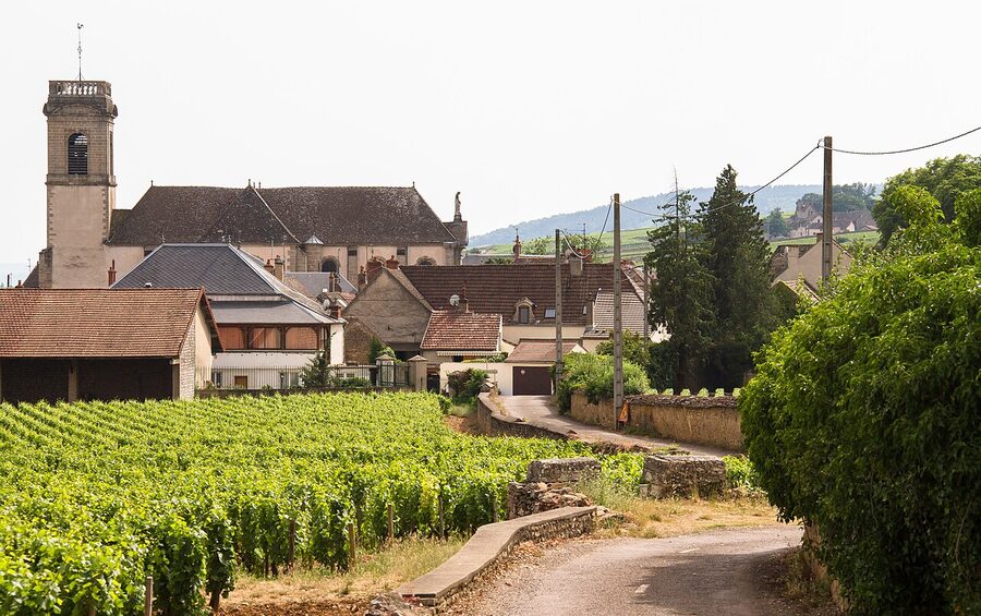 View of Pommard village rooftops Burgundy