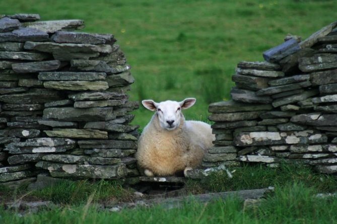 Burren Guided Electric Bike tour with Poulnabrone Portal Tomb - Why the Electric Bike Makes a Difference
