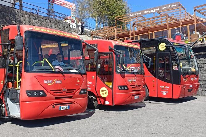 Bus Etna Experience of Italy - FAQ: Your Practical Questions Answered