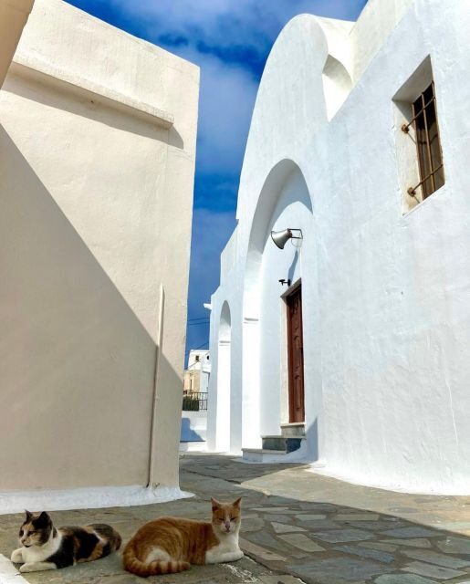 Bus Tour Around the island of Naxos - The Experience in Detail