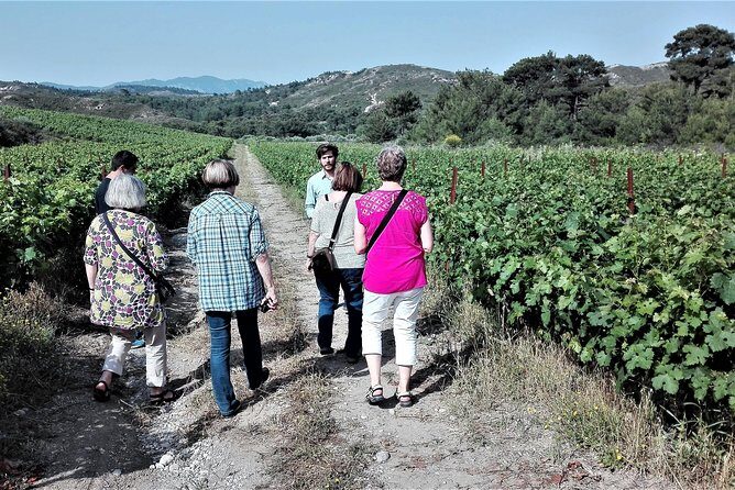 Butterflies Valley & Wine Tasting Experience Private Tour - Practical Details and What to Expect